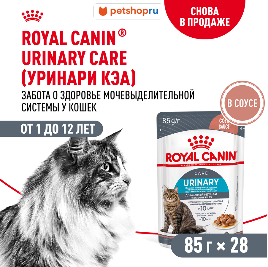 Royal Canin Влажный корм для кошек, Кусочки в соусе для кошек при профилактике МКБ, Urinary care in gravy, 28 шт 85 г