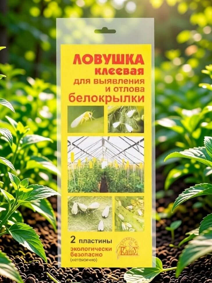 Ловушка клеевая для выявления и отлова белокрылки, 2 пластины