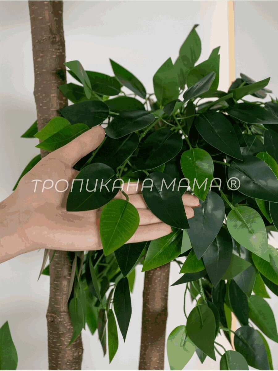 Искусственное растение фикус в кашпо для декора интерьера