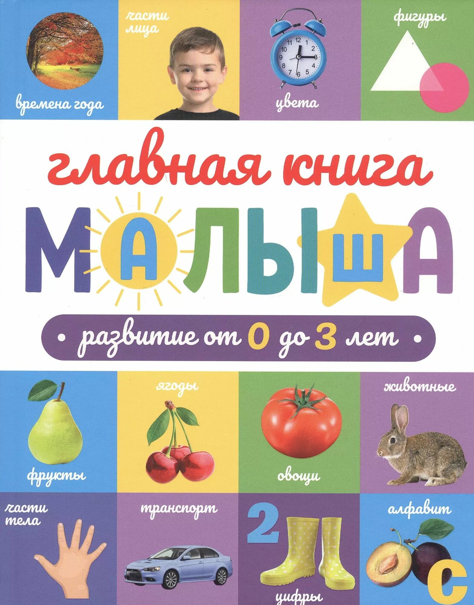 Главная книга малыша. Развитие от 0 до 3 лет