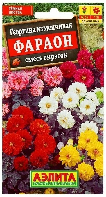 Георгина Фараон, смесь сортов 0,3г. (Аэлита)