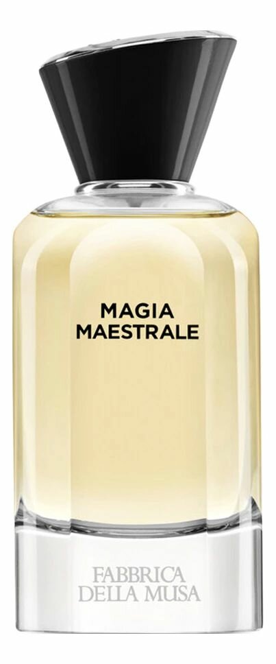 Fabbrica Della Musa Magia Maestrale Парфюмерная вода для мужчин 100 ml