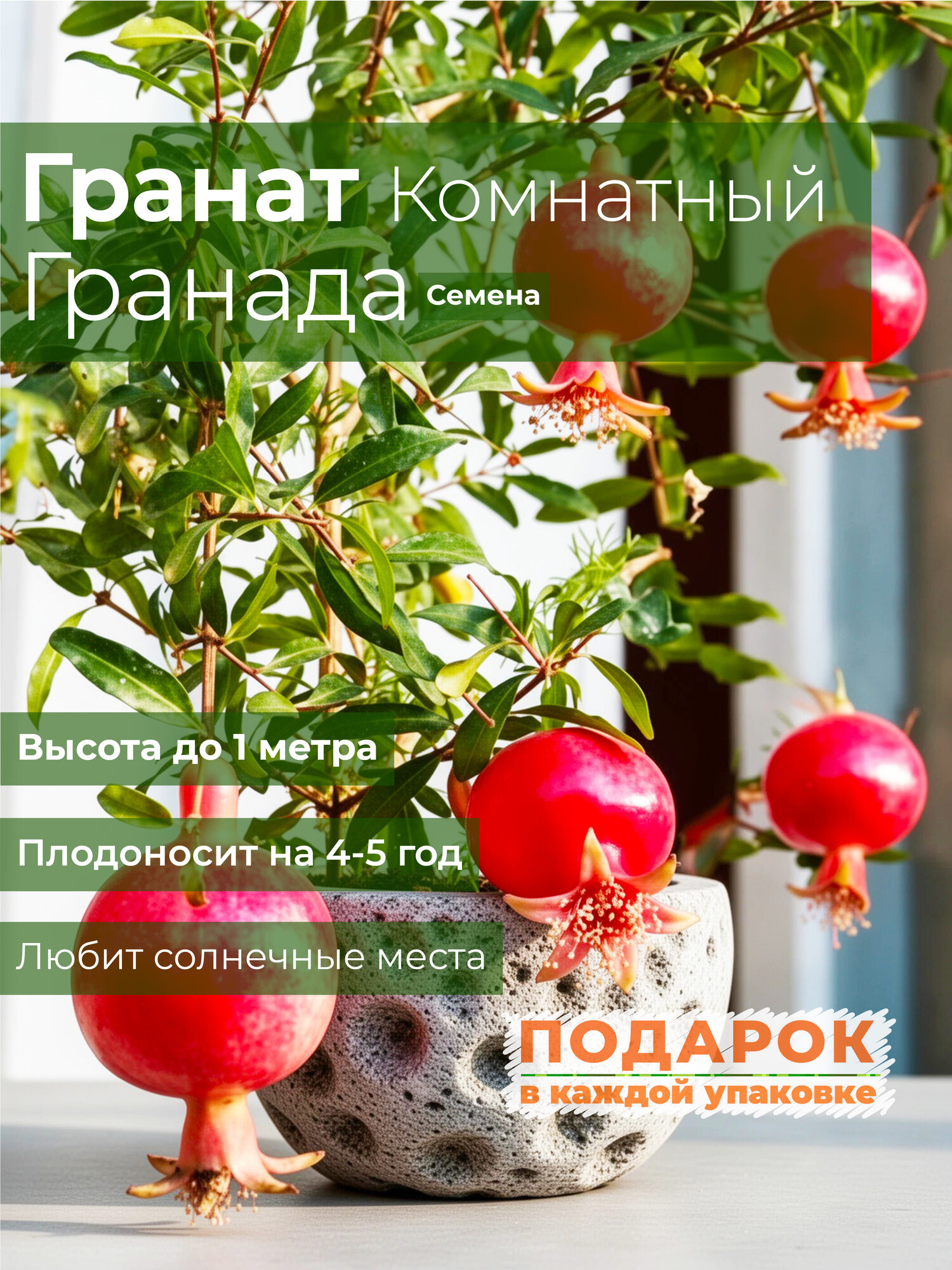 Гранат комнатный Гранада, Семена, 5 шт, семена комнатных растений