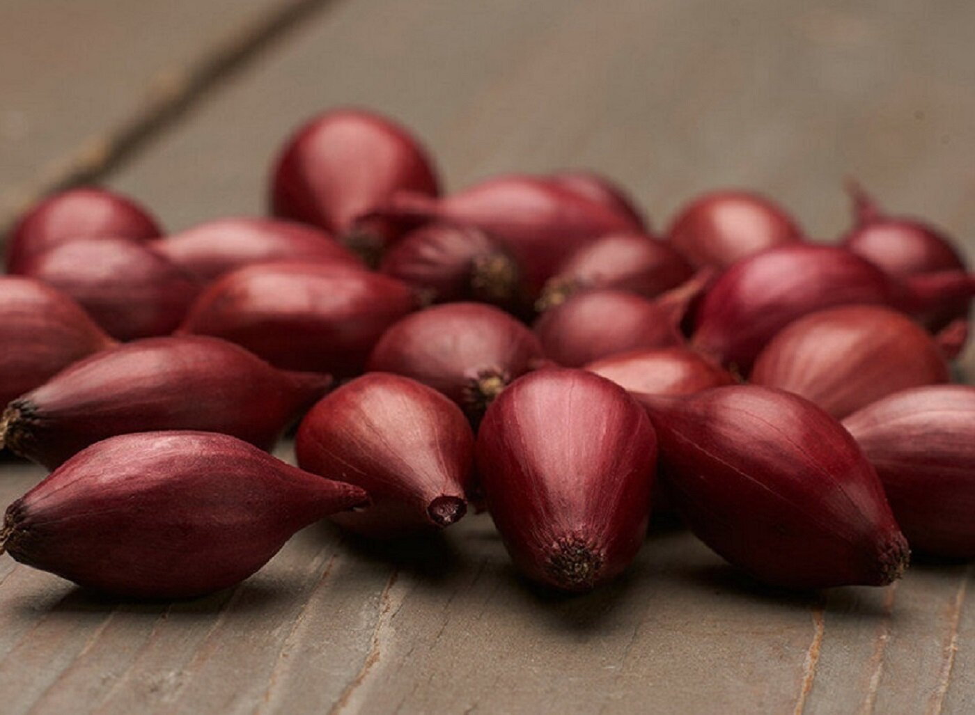Лук - севок Кармен 1 кг для выращивания на подоконнике на зелень, на перо, лук-севок для огорода