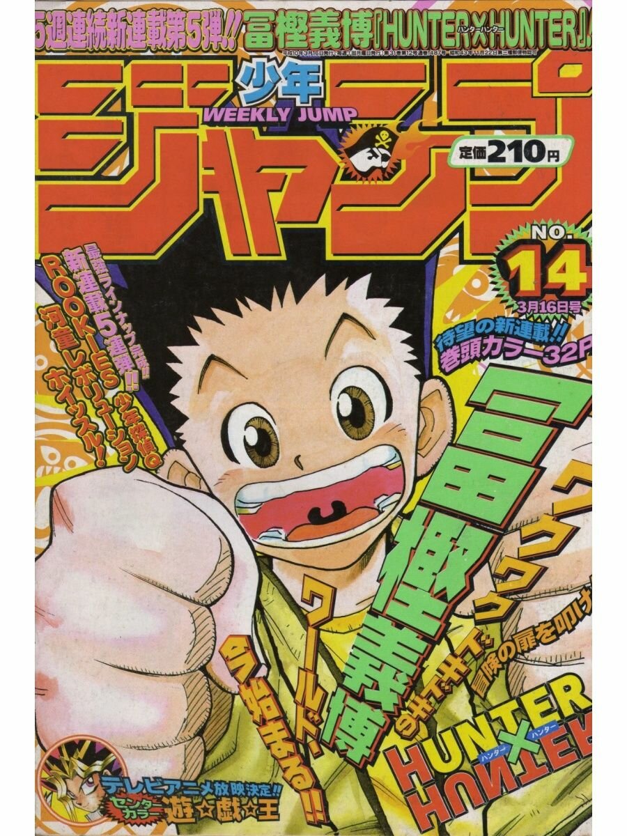 Постер "Hunter x Hunter"