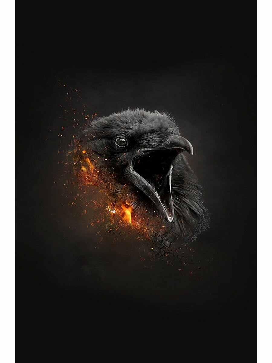 Постер "Dark Animals. Ворон"