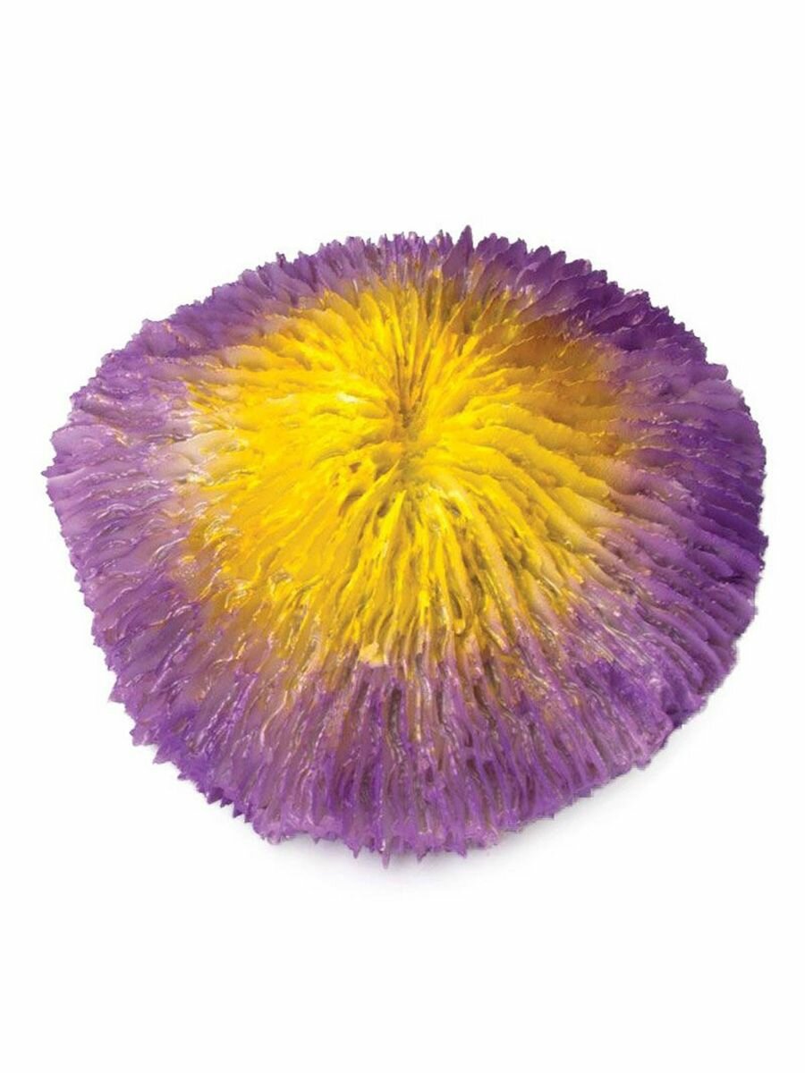 Коралл искусственный Laguna "Фунгия", желто-фиолетовая, 100*40*100мм