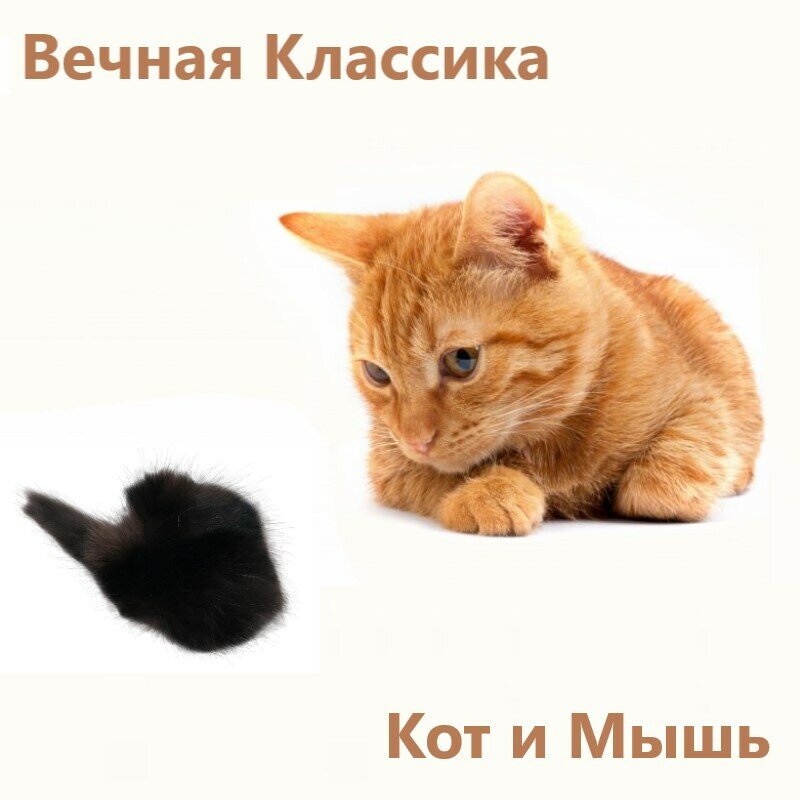 Мячик - Мышка (с погремушкой) из натурального меха норки 6см/ Мягкие меховые игрушки для кошки и для котят (Россия)