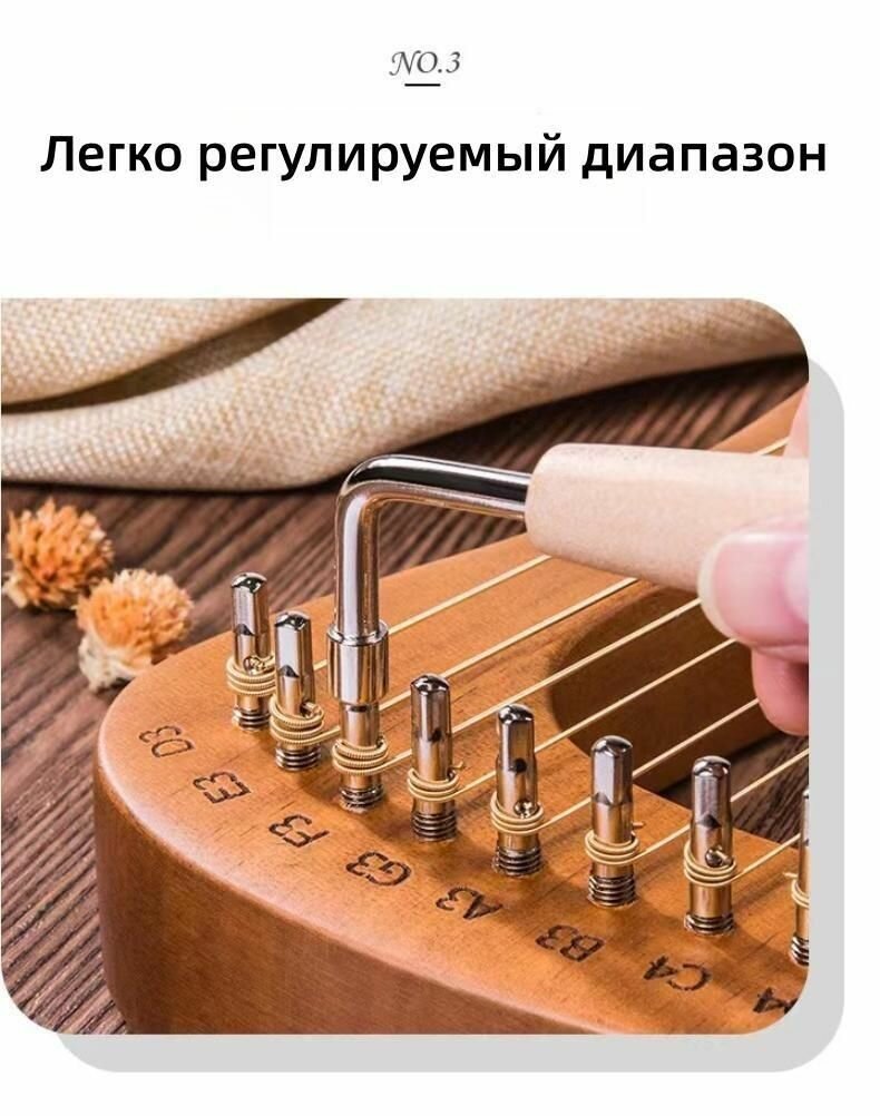 Струнный инструмент — фото 1