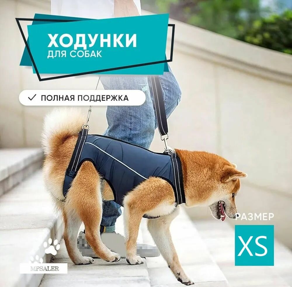 Полная поддержка для собак. Ходунки для собак, пожилых и травмированных. Размер XS.