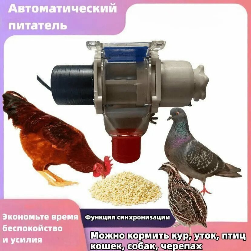 Электрическая автоматика для кур, перепелов, уток, гусей, с функцией синхронизации