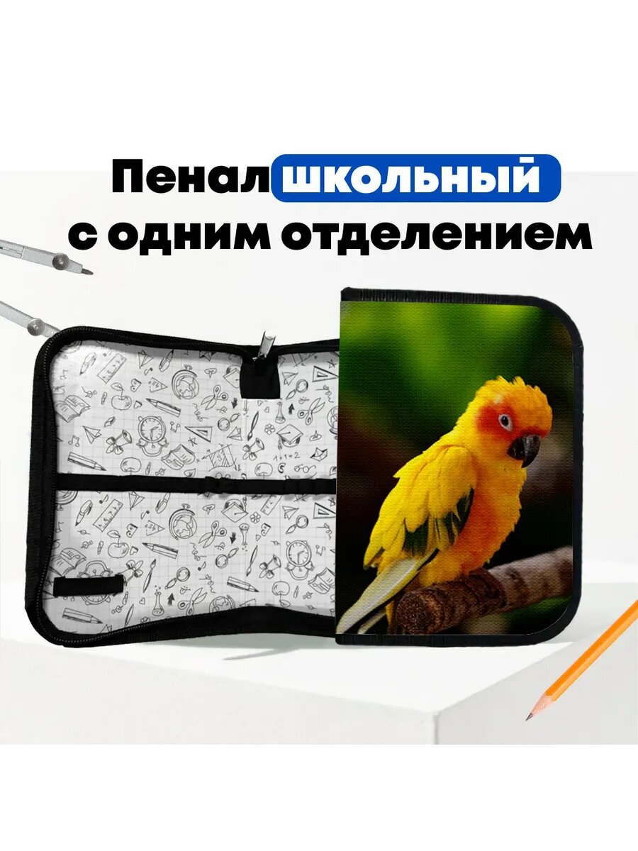 Школьный пенал Попугай