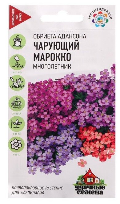 Семена Обриета 'Чарующий Марокко', 0,05 г