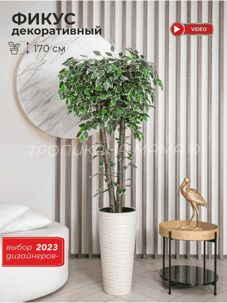 Искусственный цветок фикус