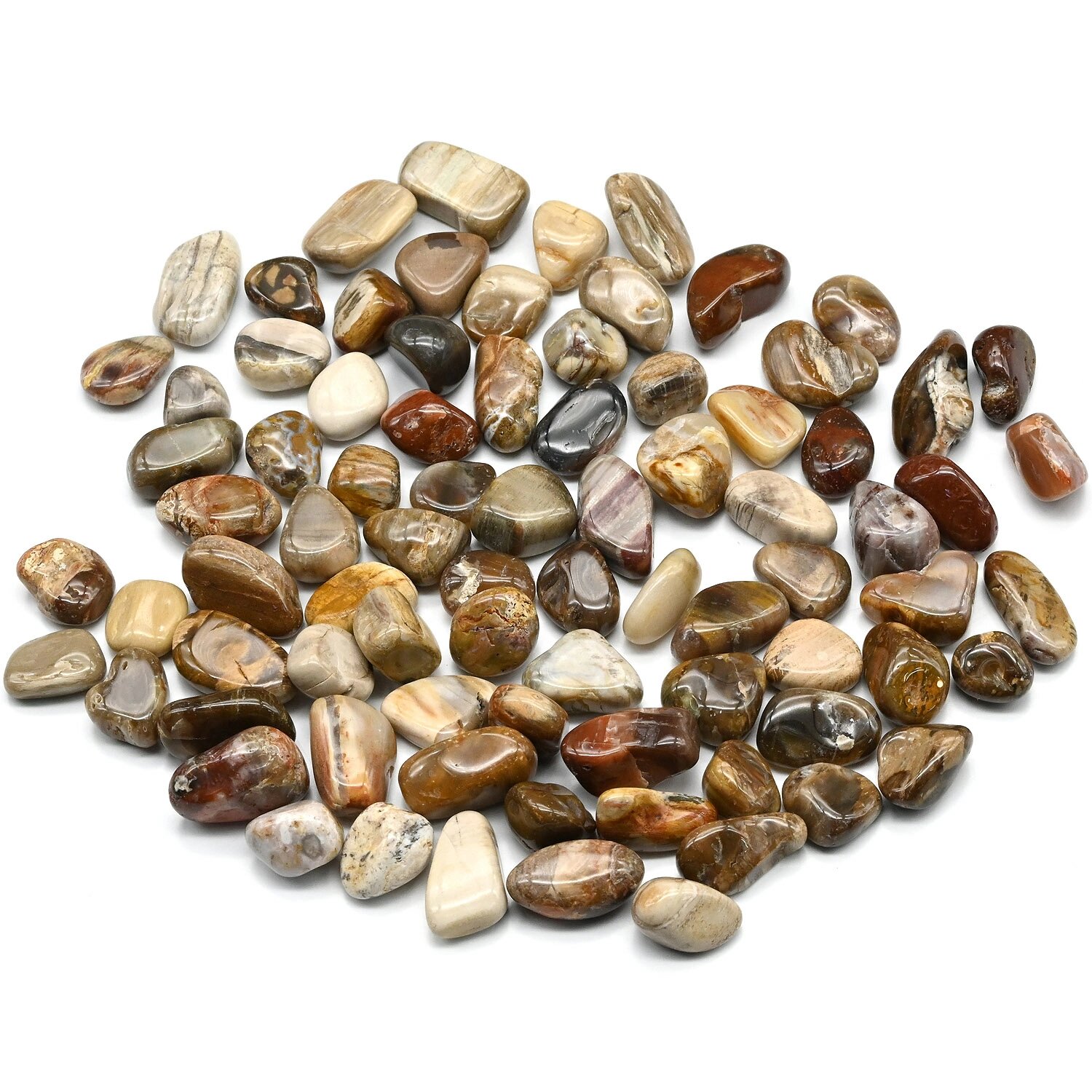 Окаменелое дерево галтовка фракция 8-15мм, упаковка 100г .