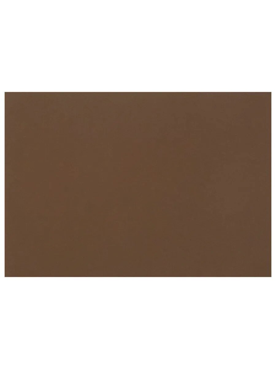 Бумага для пастели 160 г/м2 , 1 лист , А2+ кофейный