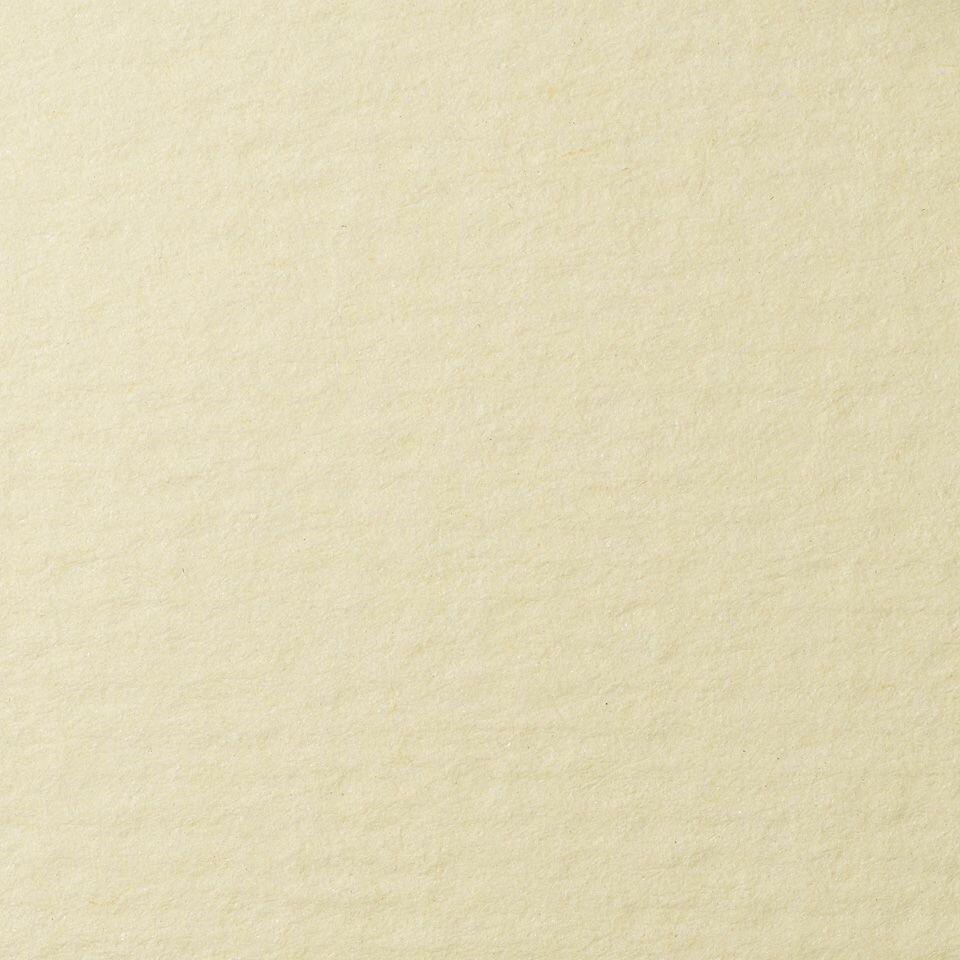 Бумага для пастели, 160г, 21х29, 7, 25 листов, кремовый