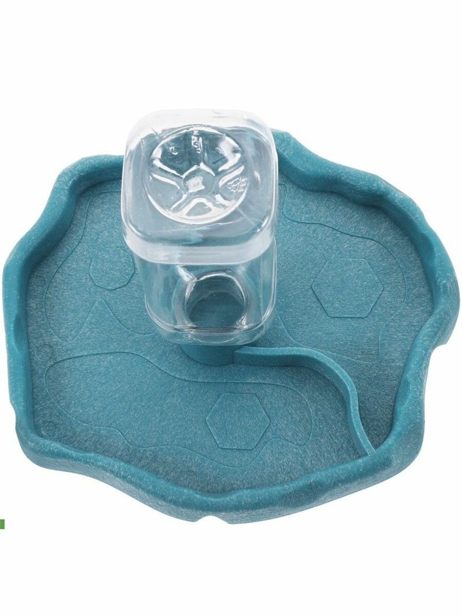 Кормушка для рептилий гекконов, корм для морских черепах, тарелка для еды, поилка для домашних животных, водопровод для ящериц