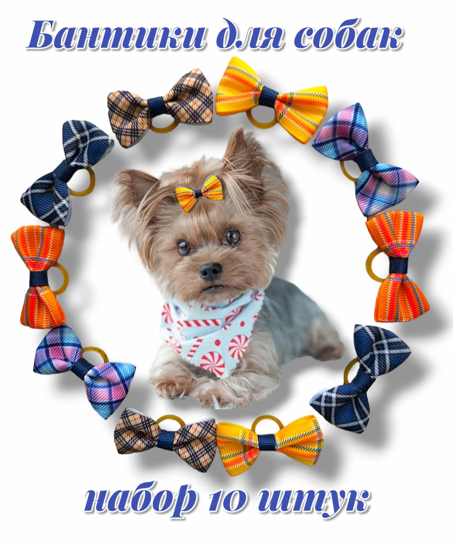 Бантики для собак