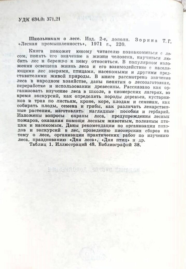 Школьникам о лесе — фото 1