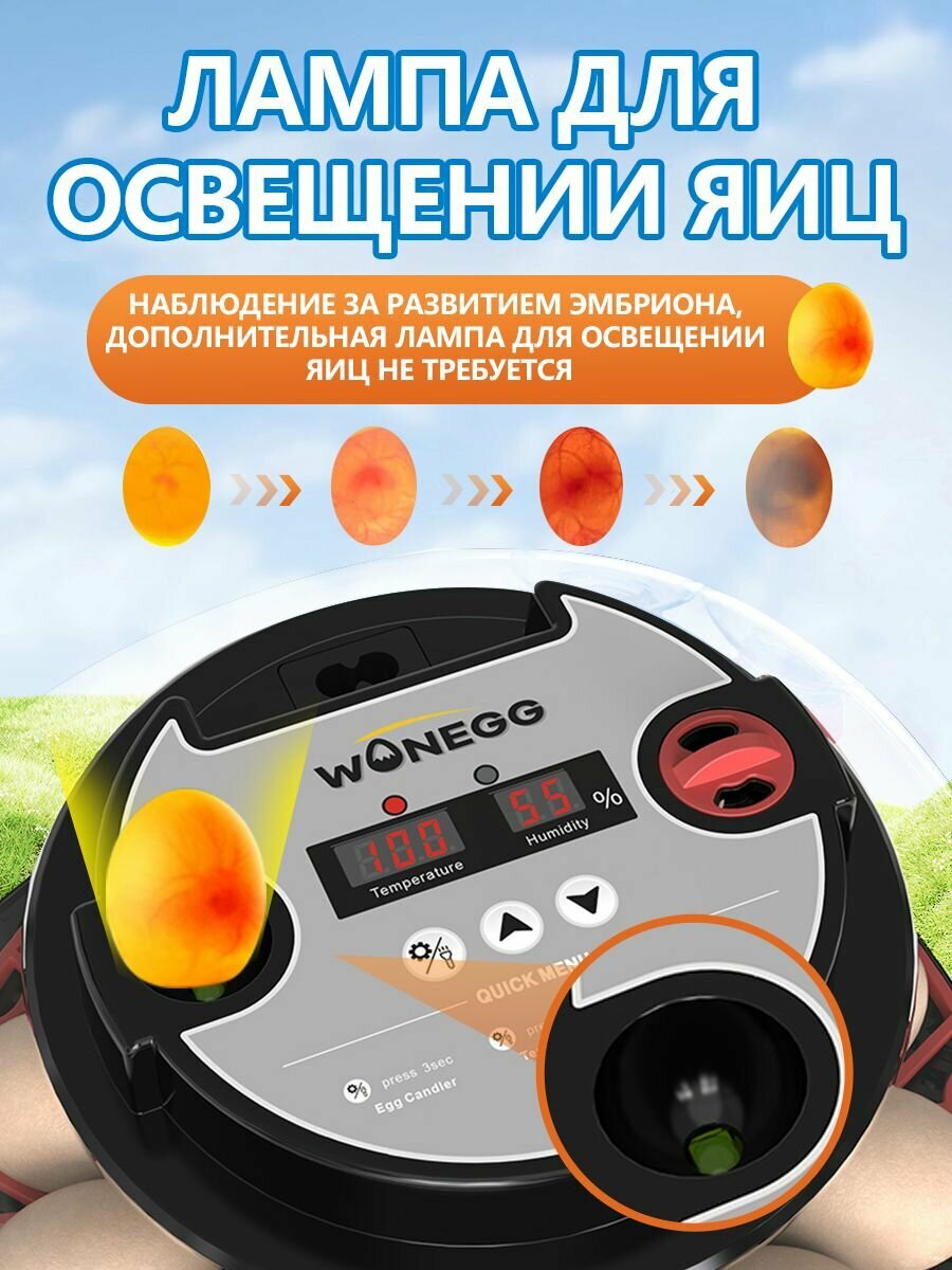 Инкубатор для яиц — фото 1
