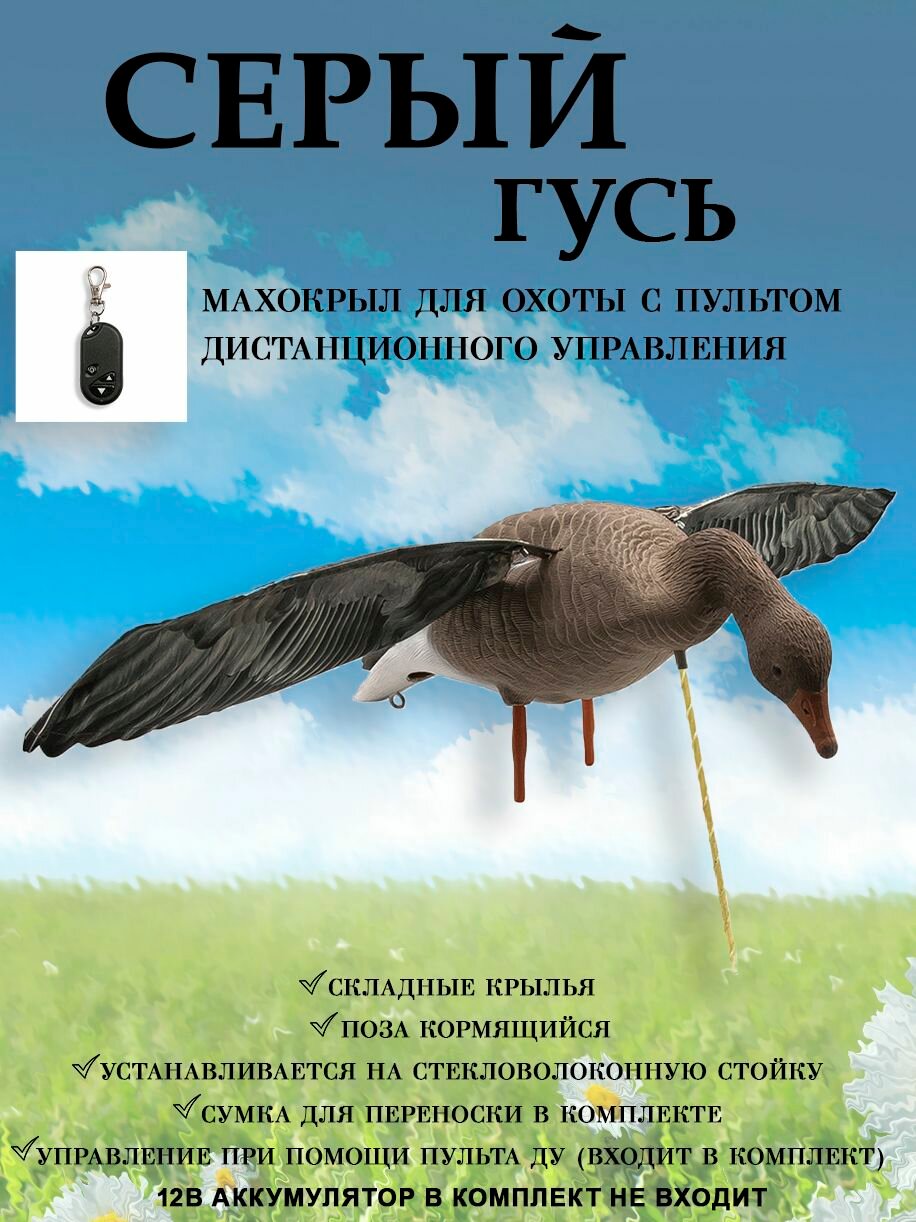 Чучело Серый гусь для охоты, махокрыл
