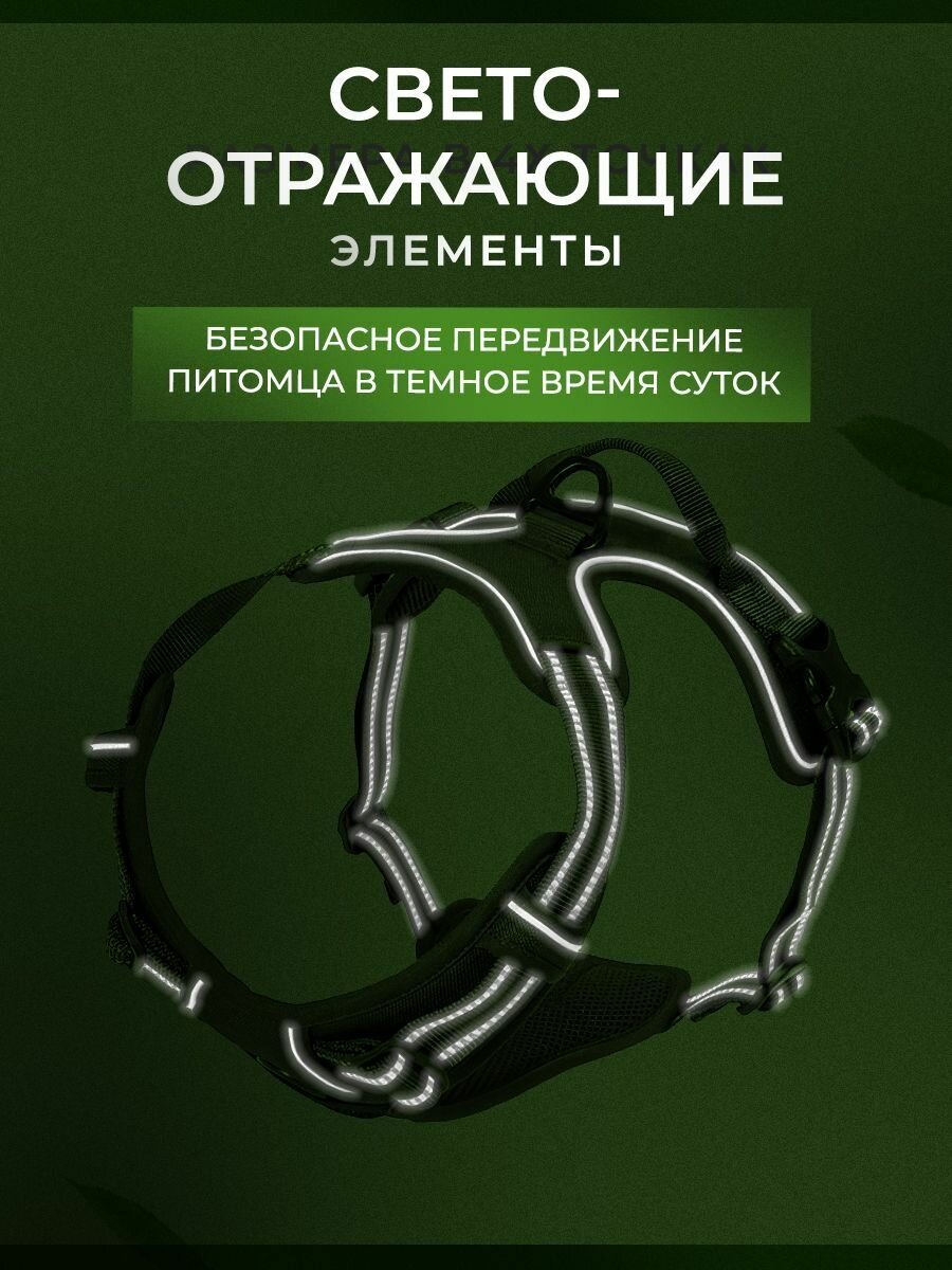 Шлейка — фото 1