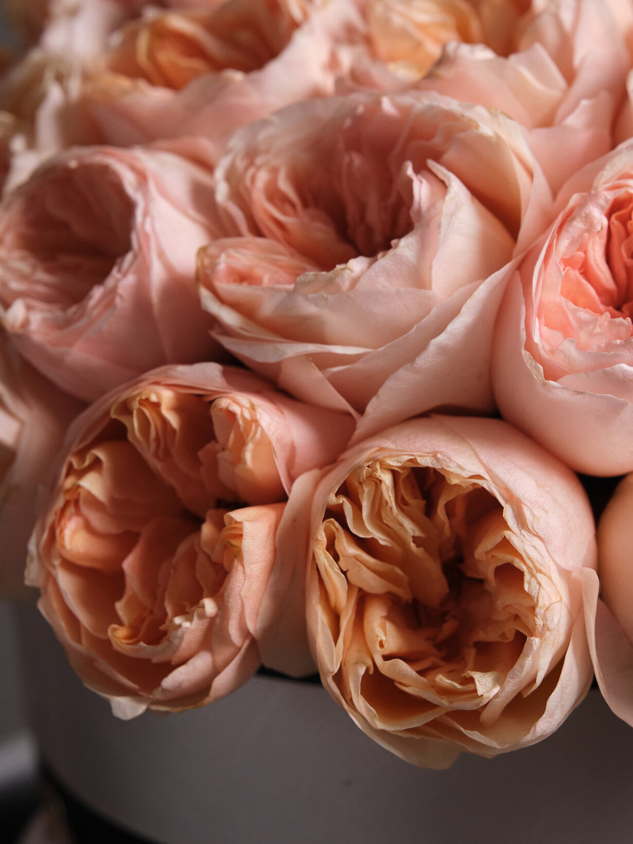 Монобукет AGENT FLOWERS "Juliet", розы, в шляпной коробке, без эвкалипта, 21 цветок