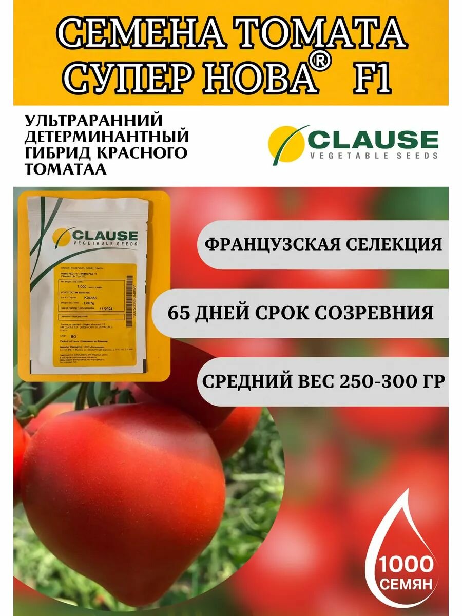 Семена томата Супер Нова (Примо Ред) F1 1000 штук, профессиональные семена