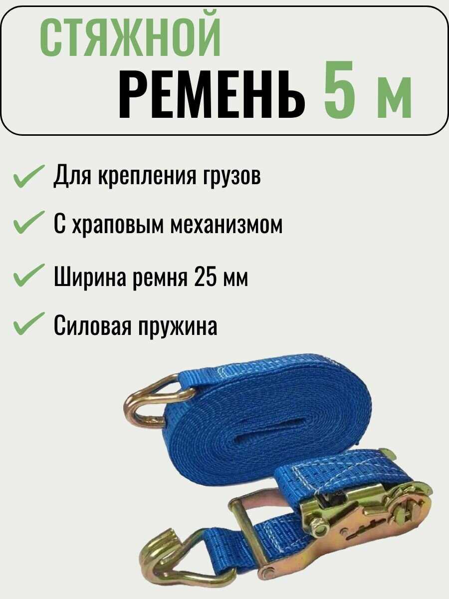Ремень-стяжка «Мастер», с храповиком, 5 м, ширина 2,5 см, синий