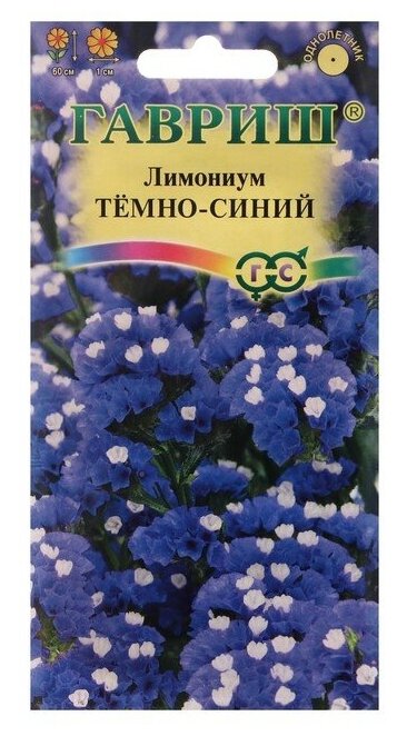 Семена цветов Лимониум 'Темно-синий', 0,1 г