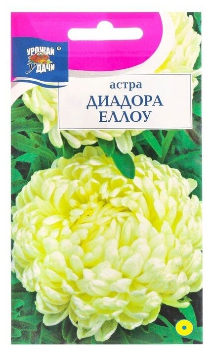 Семена цветов Астра диадора еллоу пион. 0,2 г.
