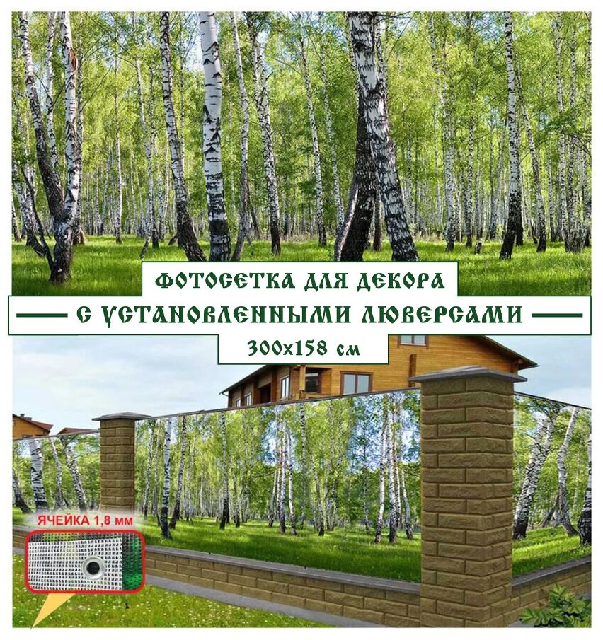 Фотосетка Мечта 300x158 см "Березовый лес" для декора забора, беседки, бассейна
