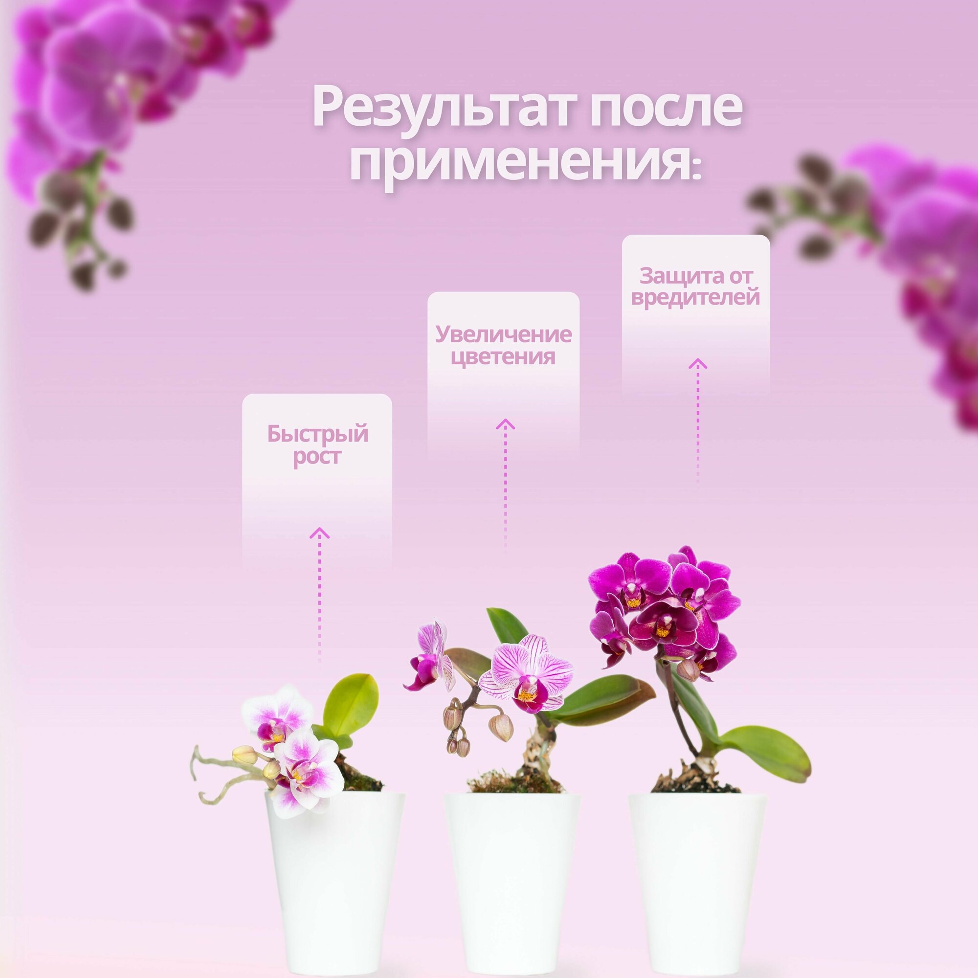 Удобрение Zaton "Затон", для орхидеи, цеолит, гуматы, в банке, 750 г — фото 1
