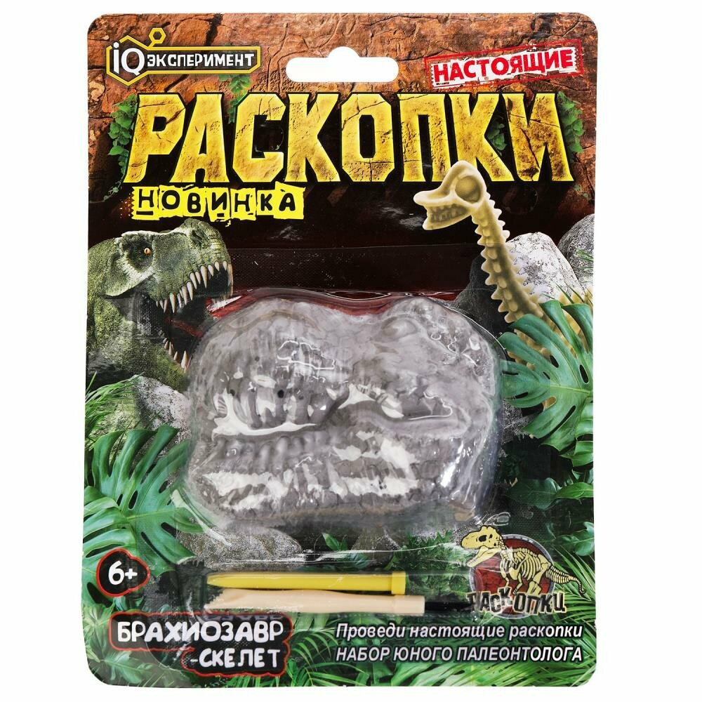 Набор раскопки череп динозавра брахиозавр, Играем Вместе FL5067-A-RU