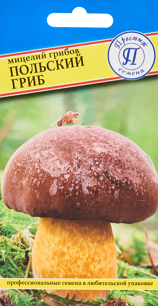 Мицелий грибов гриб Польский, (5 упак.)