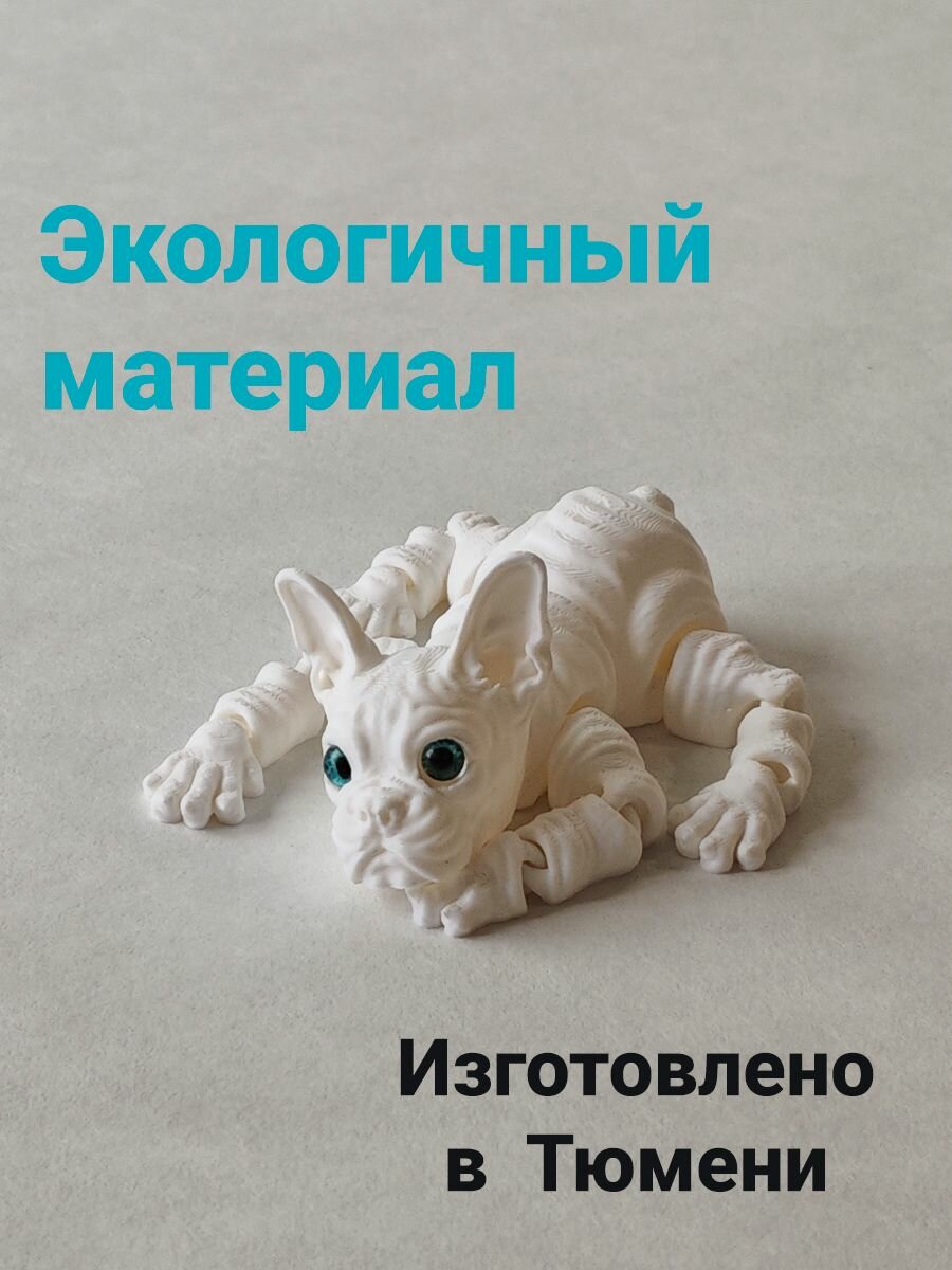 Бульдог подвижный — фото 1