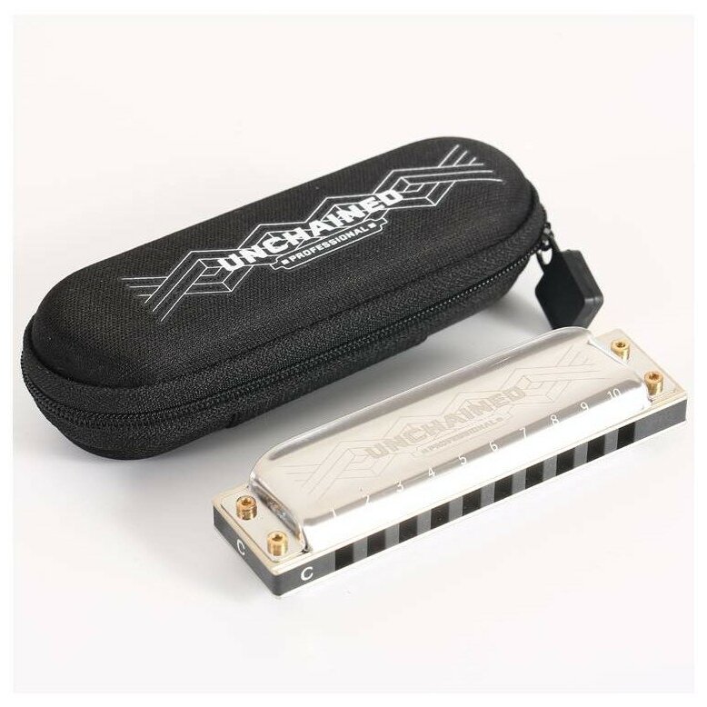 EASTTOP PRO60 G диатоническая губная гармошка, G