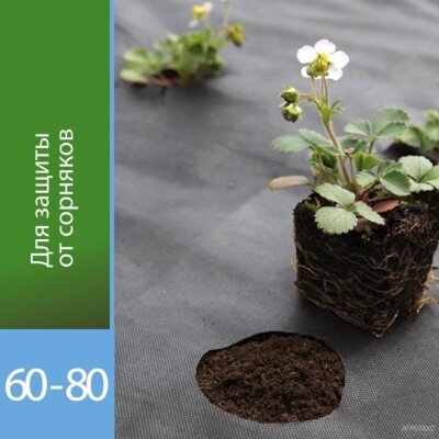Мульча перфорированная агротекс 80 UV 1,06*10м бело-черный + колышки 8шт
