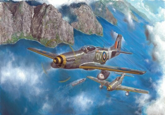 2745 Italeri Самолет Mustang Mk. IVa 1/48
