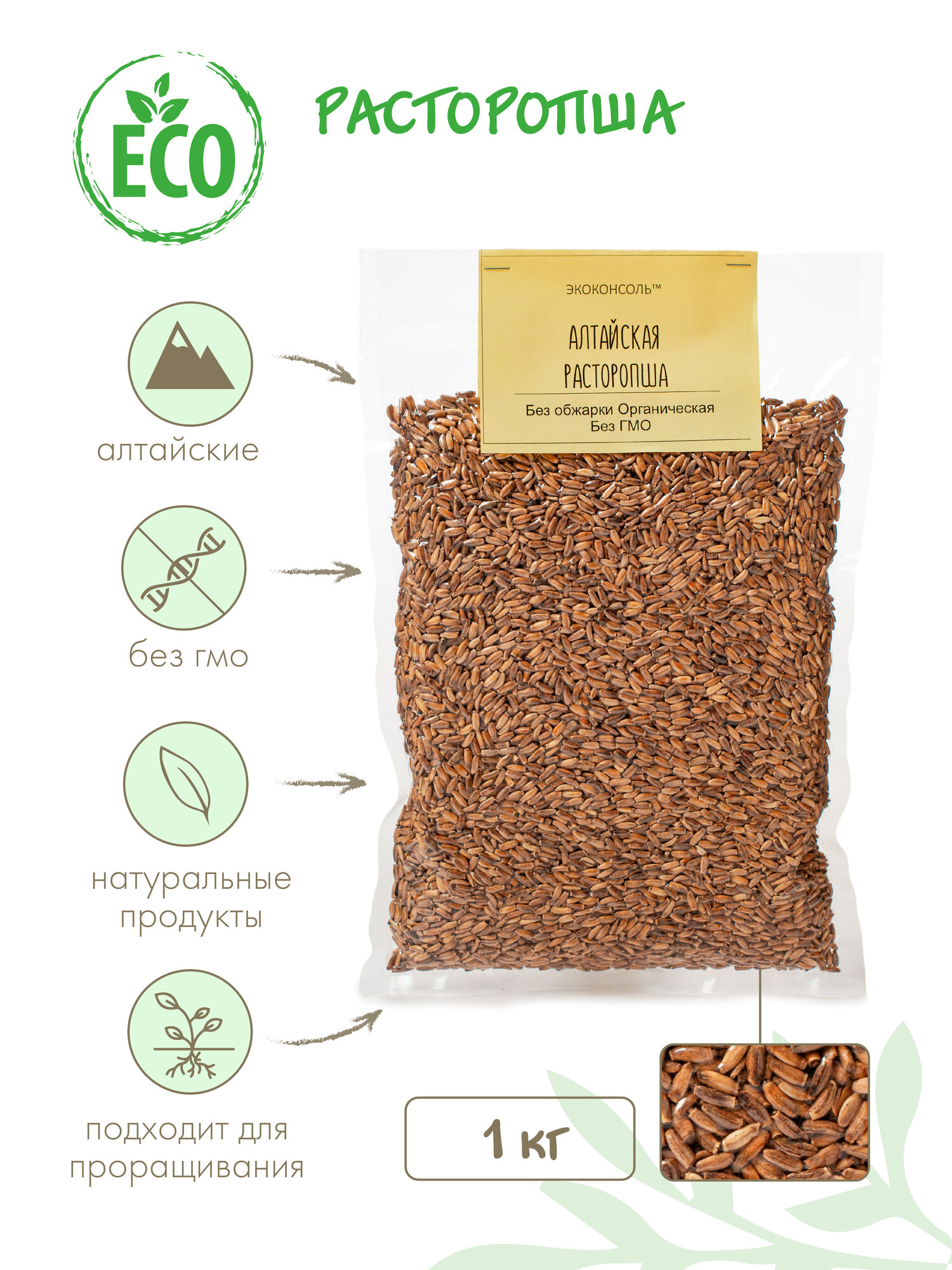 Расторопша, семена расторопши, семена Алтайской расторопши 1000 гр