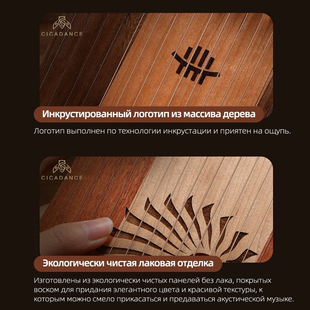 Струнный инструмент — фото 1