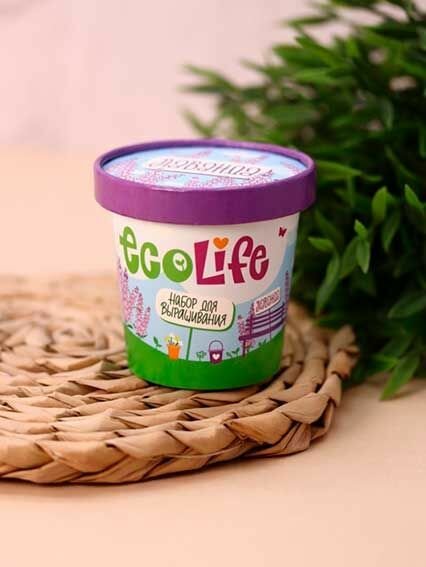 Набор для выращивания растений Magicme "Ecolife", Лаванда, стаканчик с крышкой