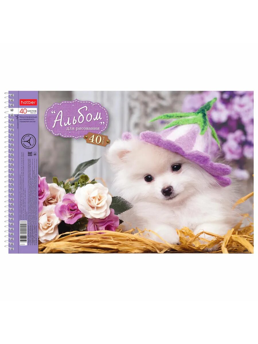 Альбом для рисования 1 шт, А4, 40 листов, 205х300 мм