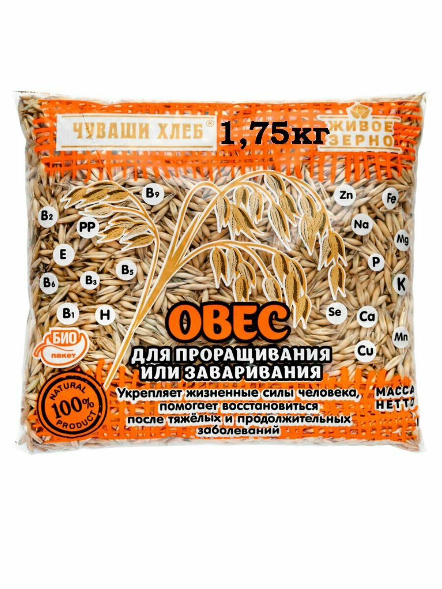 Овес для заваривания и настоя 1,75 кг