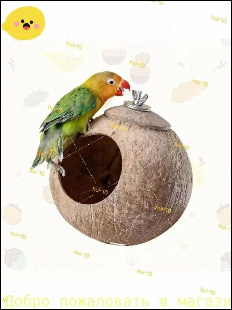 Гнездо для попугаев из натурального кокоса с подстилкой