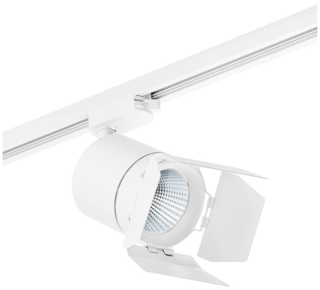 Трековый светодиодный светильник Lightstar Canno Led (301262+202996) C126296