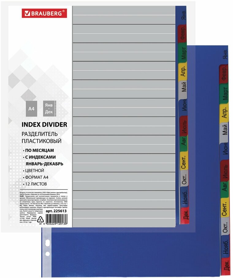 Разделитель пластиковый BRAUBERG, А4, 12 листов, Январь-Декабрь, оглавление, цветной, россия, 225613, 225613