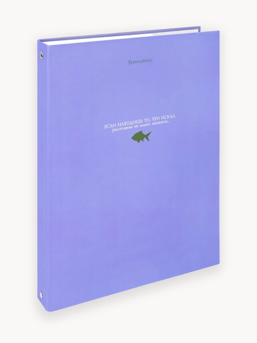 Тетрадь на кольцах А4 в клетку со сменным блоком общая 215х305 мм, 100 листов, для школы и офиса, обложка твердый картон, Brauberg, 405409
