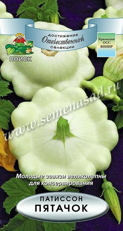 Патиссоны Пятачок 12шт. (Поиск)